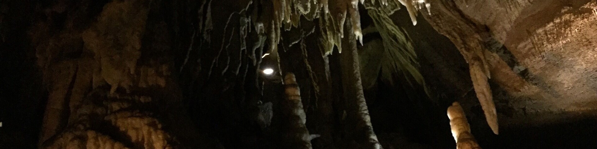 Absolutely mesmerizing... This, from the "Domes and Dripstones" tour.