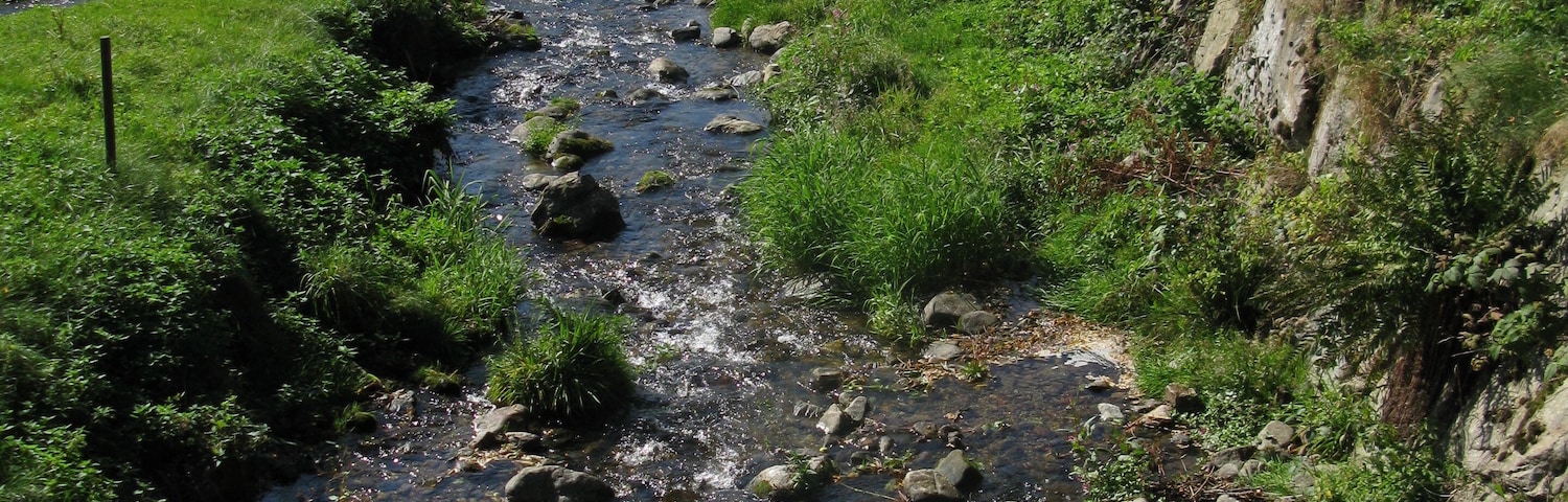 Wagensteigbach with confluence of the Schweigbrunnenbach