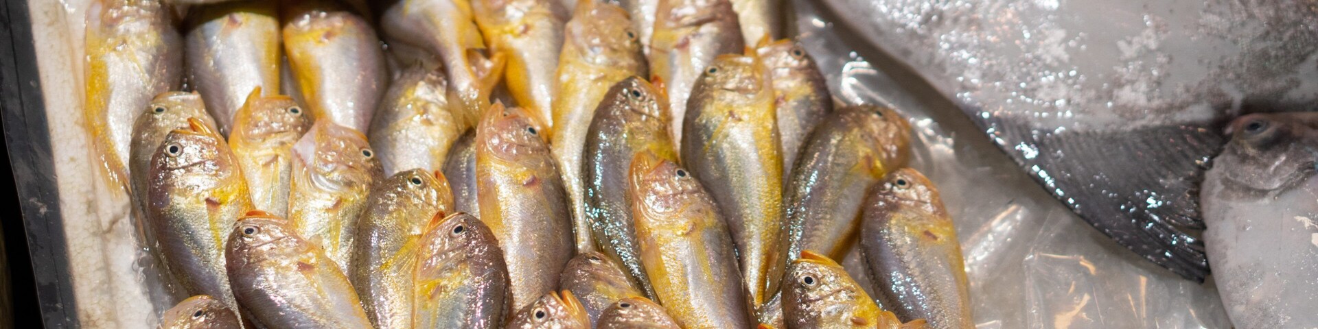 Wan Chai Market showing food and markets