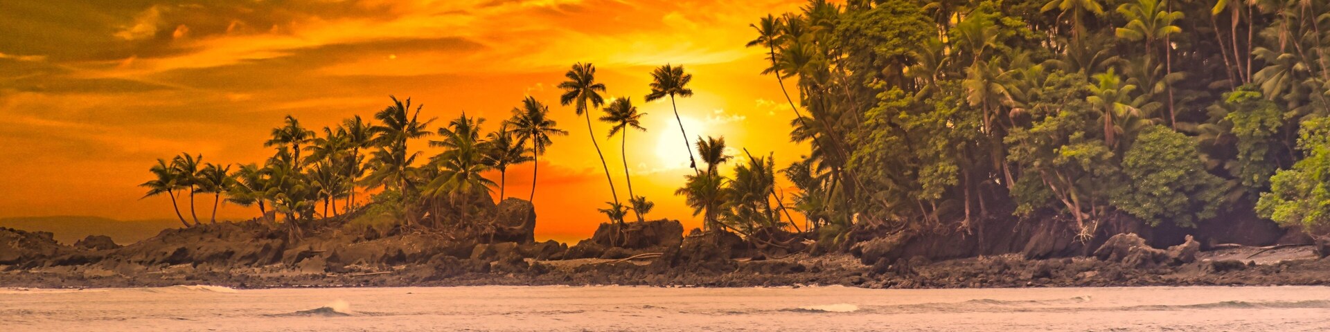 Uma praia com palmeiras e um pôr do sol.