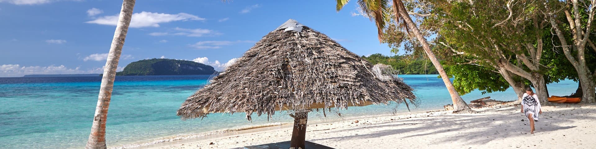 Espiritu Santo mostrando cenas tropicais, uma praia e paisagens litorâneas