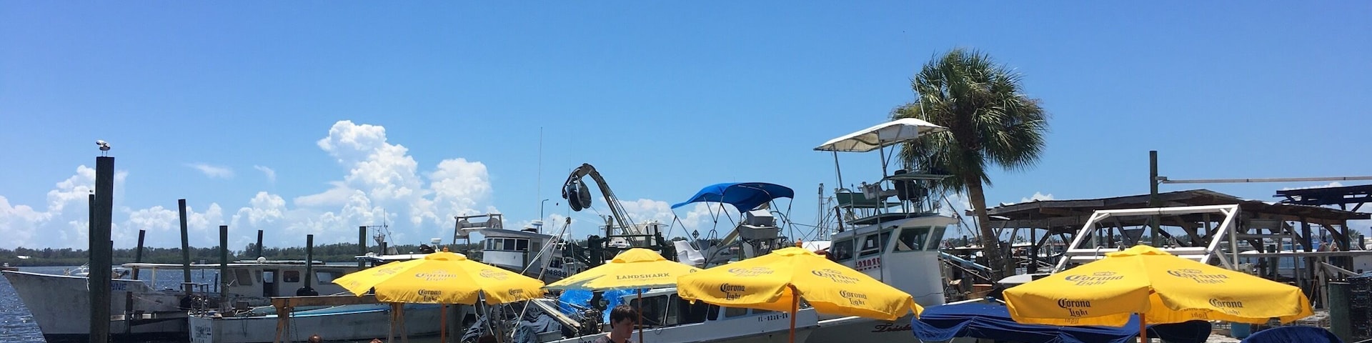 Great fish and chips eatery. Right on the water.