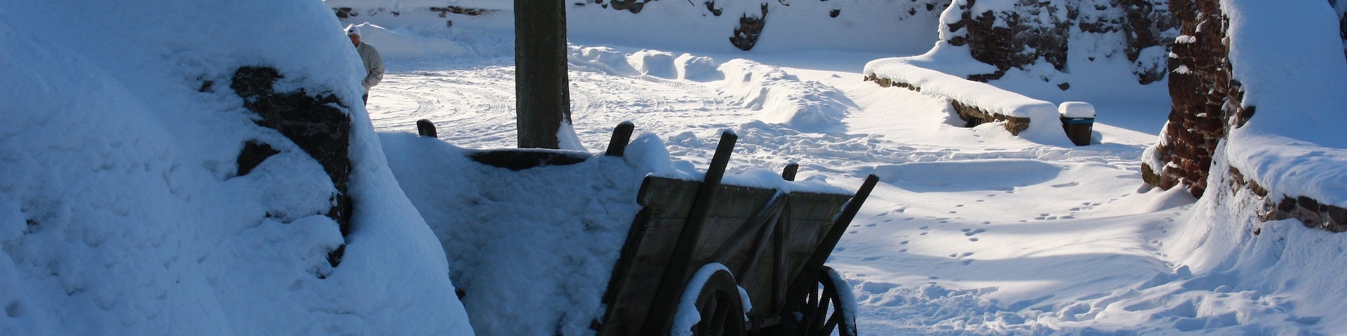 Winterimpressionen von und um Burg Hohenstein - südlicher Harz
