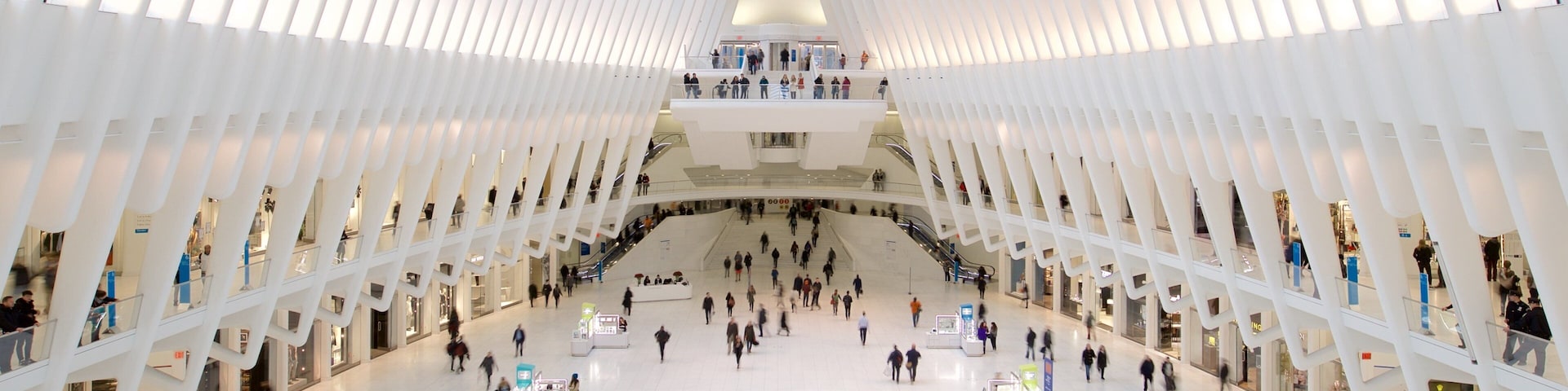 The Oculus which includes interior views as well as a small group of people