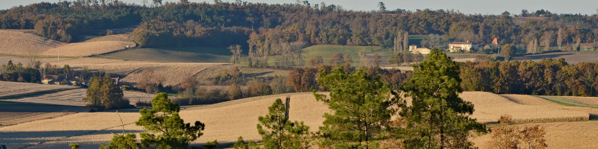 Hills looking NNW, with corn fields and woods, Sainte-Souline, Charente, France.
