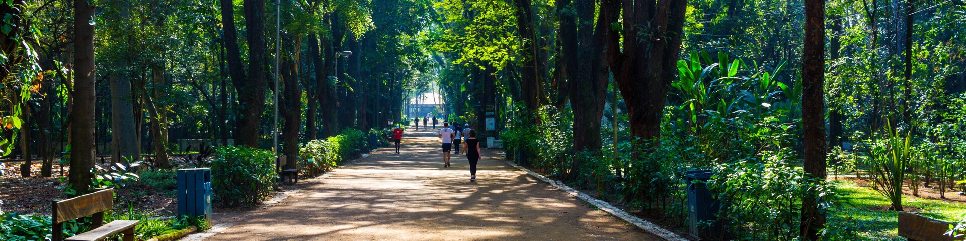 Uma trilha arborizada com bancos e uma vista distante de um edifício.