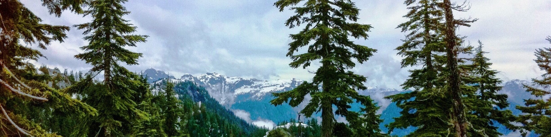 The Canadian border is just a hop, skip, and a jump from Seattle and the Expedia HQ, so this trip took me to Vancouver and beautiful Grouse Mountain. Even though it looks very remote, you can actually get there by public transport and a cable car can take you all the way to the top if you're not in the mood for hiking. #LifeAtExpedia