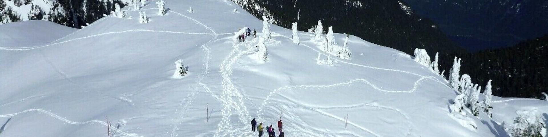 On top of First Peak looking North - lots of great snowshoe trails in the Mount Seymour Provincial Park backcountry.
#snow #snowshoe #canada #vancouver