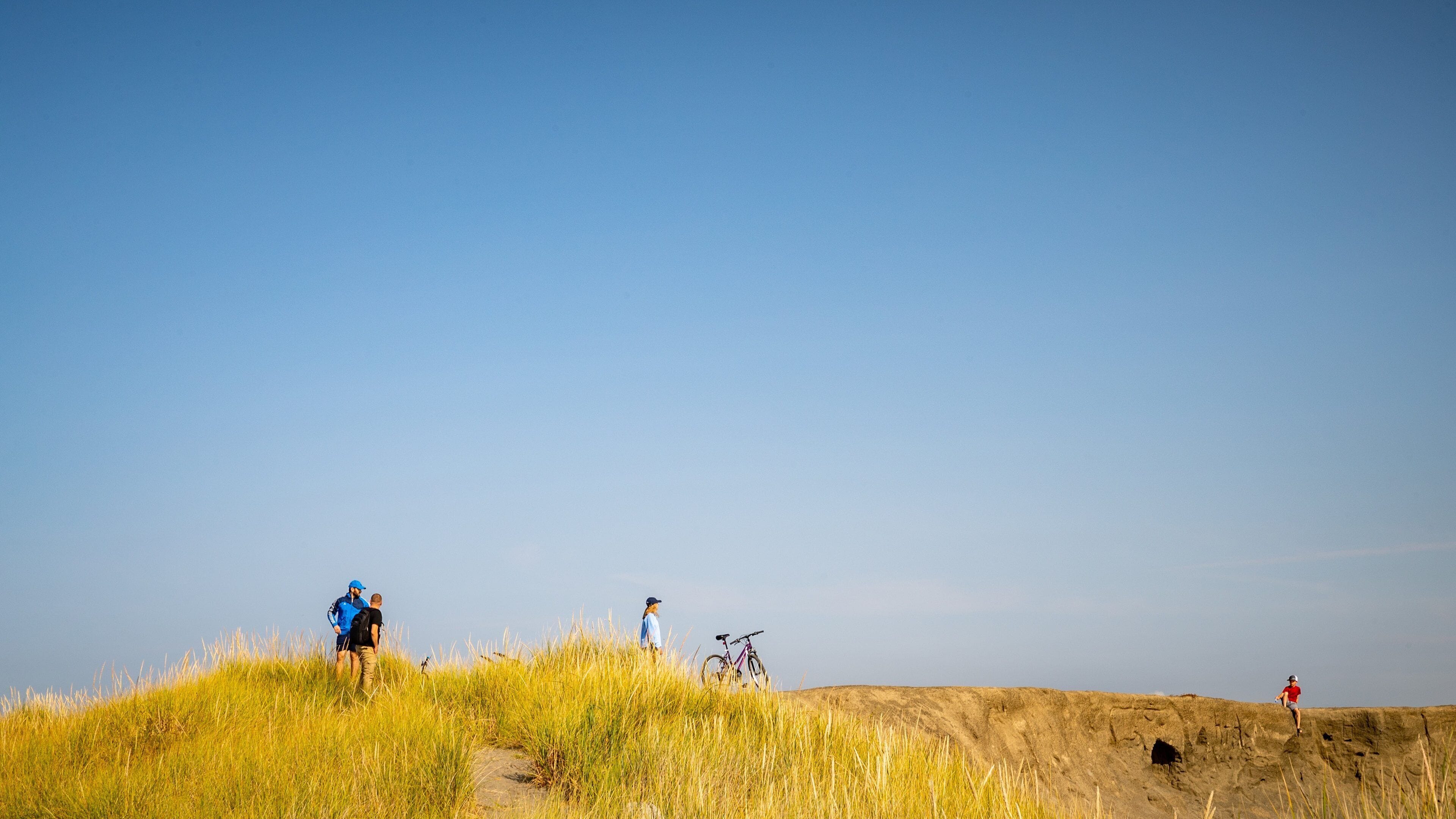 Westport Light State Park showing tranquil scenes as well as a small group of people
