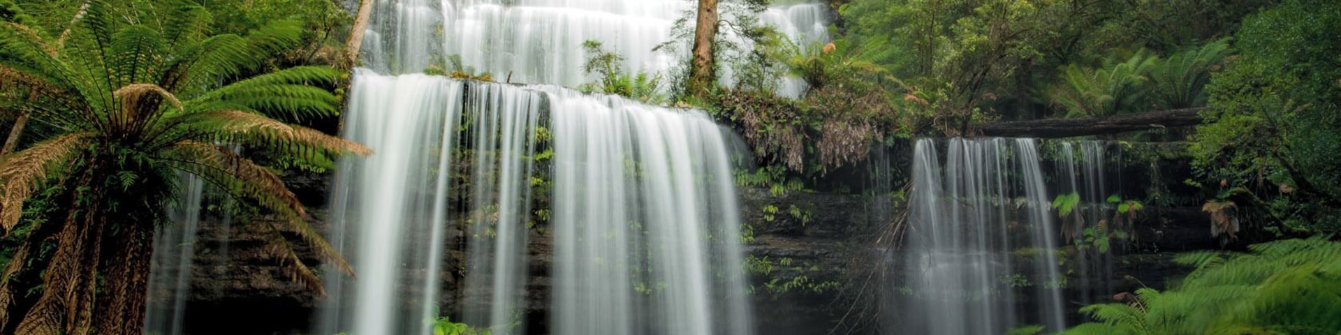 Russell Falls within the Mount Field national park was definitely on our hit list, but nothing could prepare you for the first glimpse of this magnificent waterfall. After a short hike through a lush green rainforest complete with cascading streams, some old growth 80-meter high trees and Pademelons and Quolls bouncing around the forest you come to the mighty Russell Falls. I would have to say the most breathtaking waterfall I have seen so far and I’m sure it will still be in my top five when my travelling days come to an end.
It is a three-tiered cascading falls that is fed by a reasonably narrow stream about 100m above the base.
