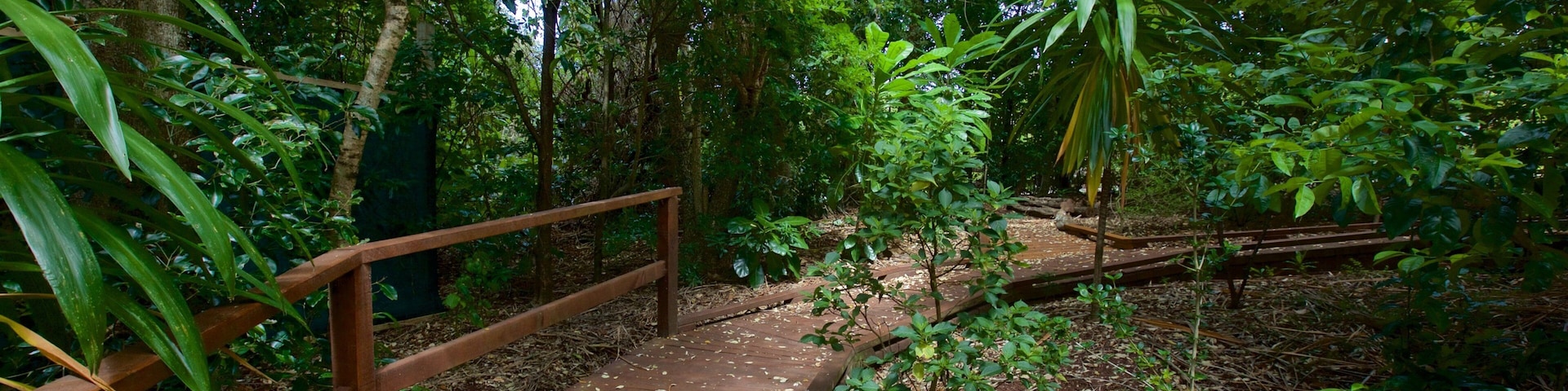 Norfolk Island which includes forests and a park