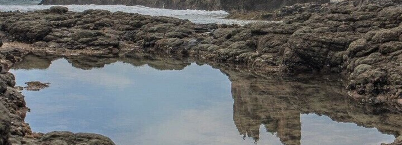 This location has been on my bucket list for quite a long time. It is readily accessible at low tide by a short walk along Jones Beach.