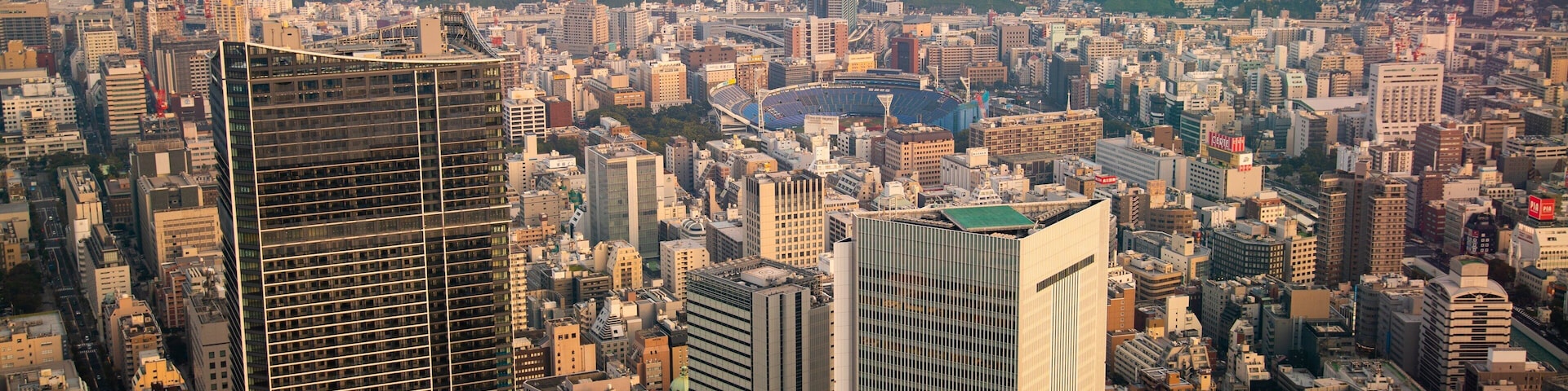 Sky Garden showing a sunset, a high rise building and a city