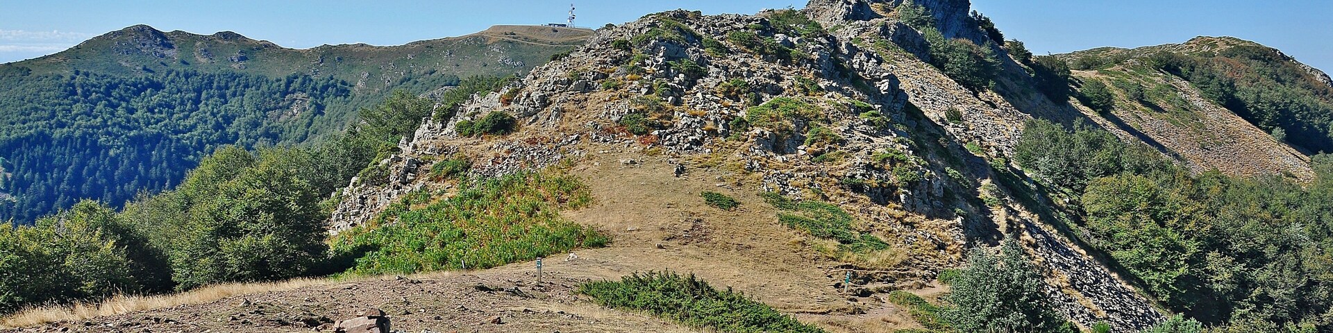 Valles Oriental-2016