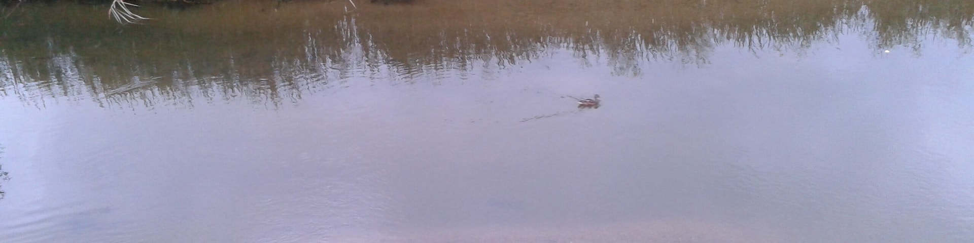 El Ter a Girona (Barri de Pedret)
