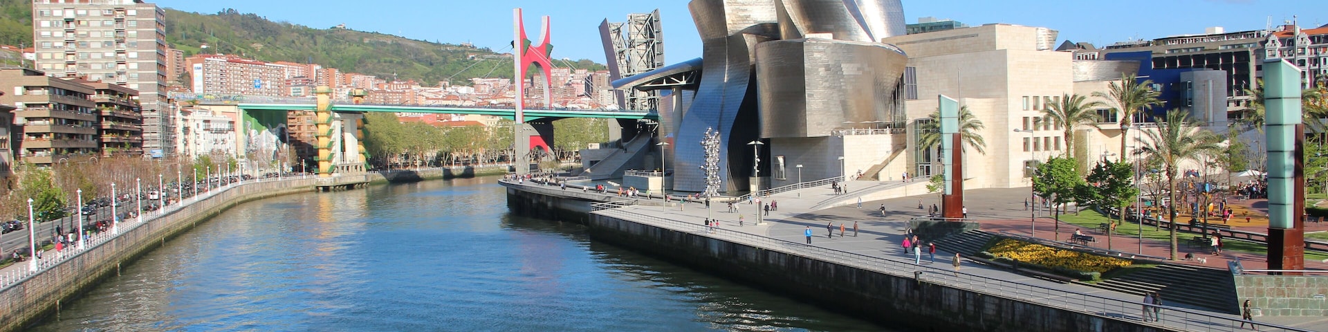 View from the Puente Pedro Arrupe