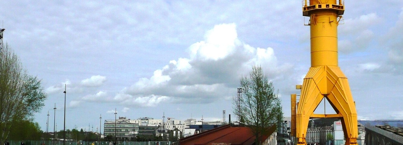 Grue Titan jaune (1954)