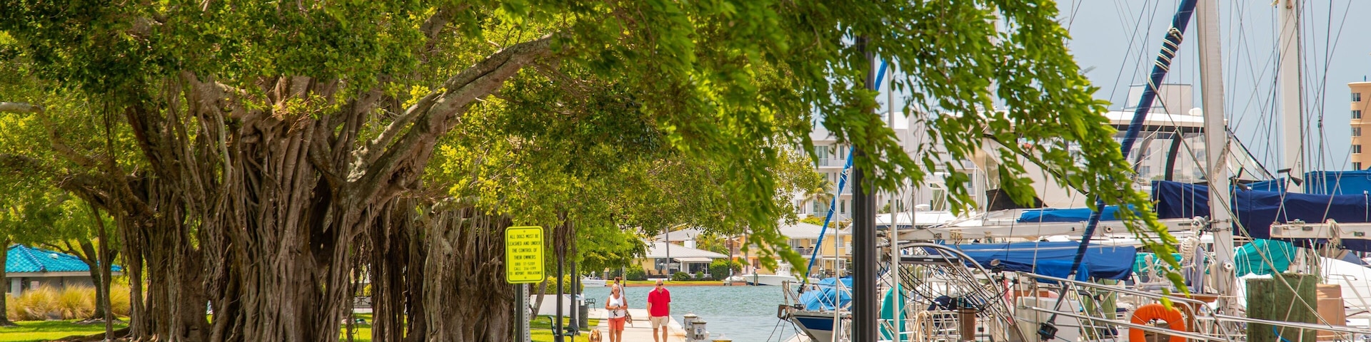 Central Sarasota showing a bay or harbor