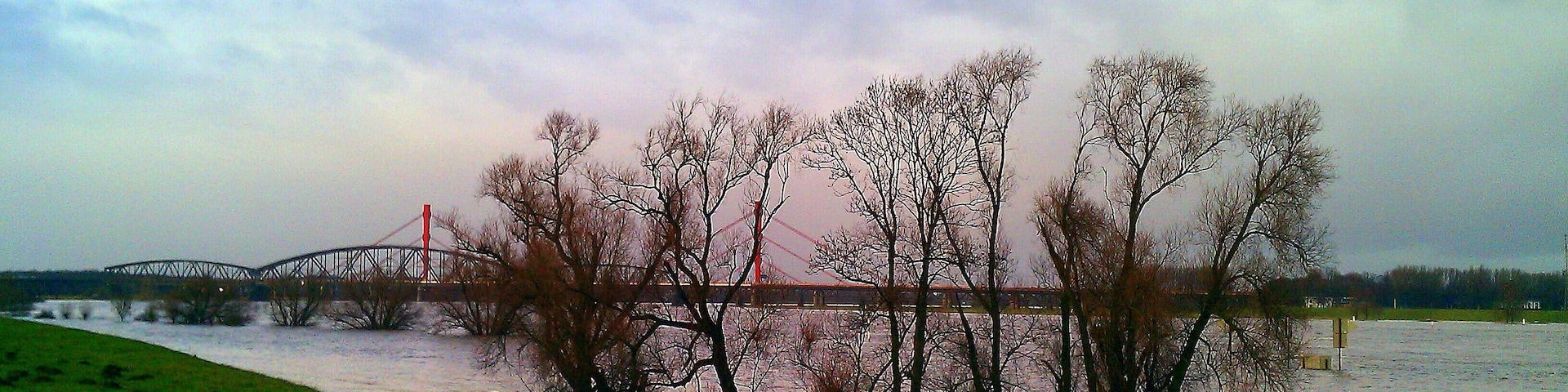 8. Januar 2012 - Duisburg-Barl - Hochwasser bei den Rheinbrücke der A42 und der Haus-Knipp-Eisenbahnbrücke