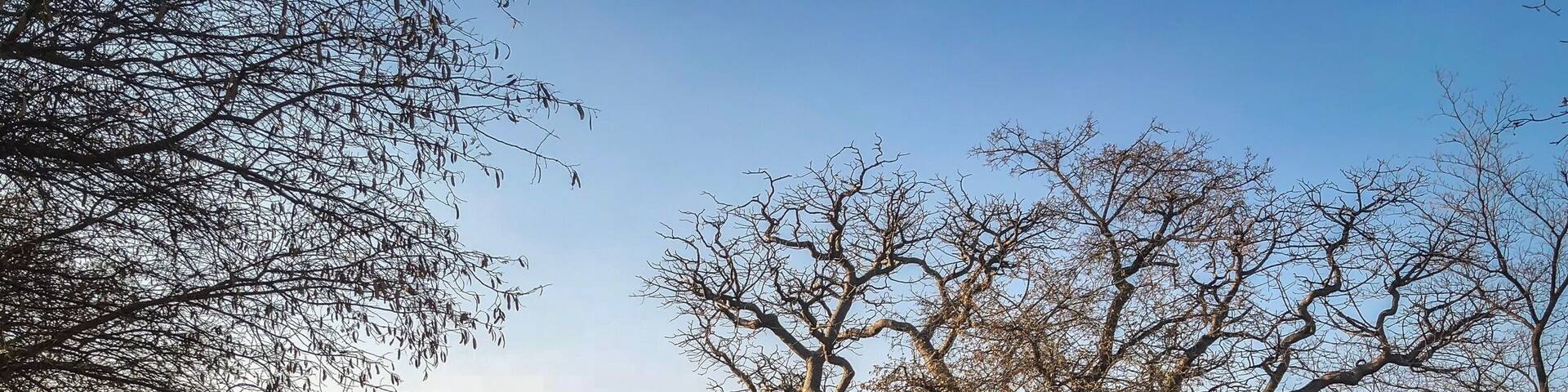 Staying in a tent on top of your truck is the way to do it in this rhino sanctuary. The sounds and noises you hear through the night are something else as the rest of the wildlife world just gets on with daily business. Once you awake, cook breakfast and pack up the tent, you can simply just drive off on the search for some seriously endangered species. And when you find them you won’t be disappointed. #GreatOutdoors