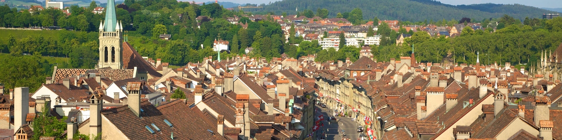 Old City of Bern featuring landscape views and a city
