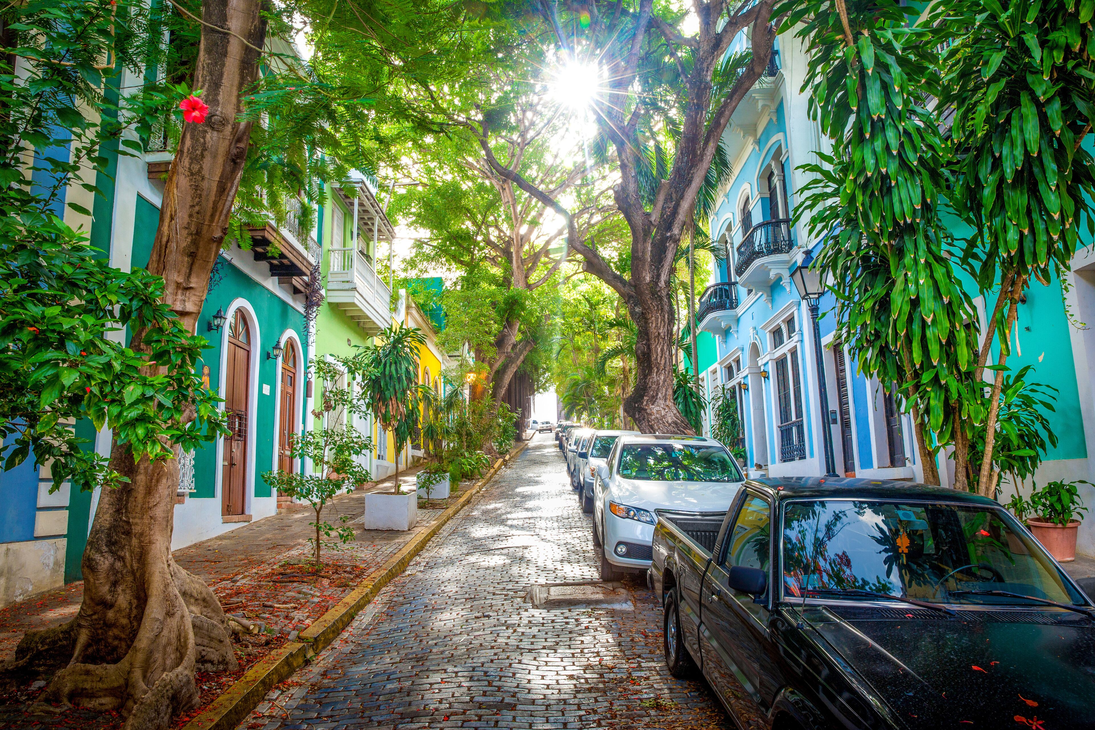 Uma rua de paralelepípedos ladeada por edifícios coloridos, carros estacionados e vegetação exuberante.