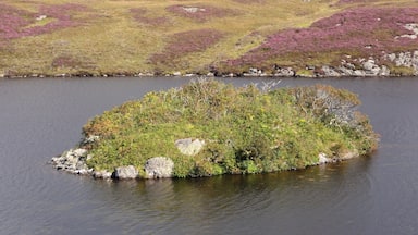 Uma pequena ilha com afloramentos rochosos rodeada por um lago, com uma montanha ao fundo.