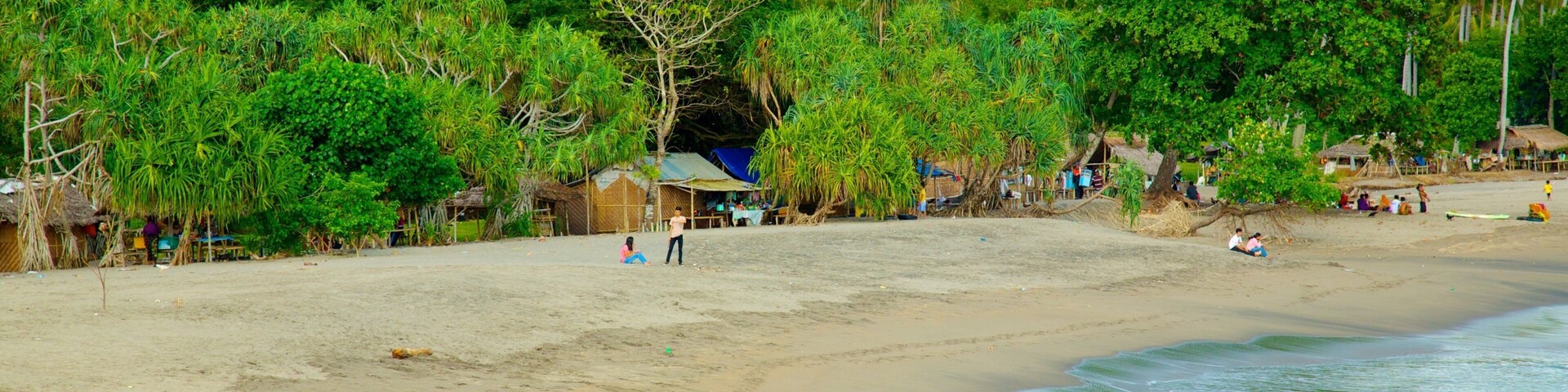 Uma praia com águas azul-claras, areal arenoso e vegetação verde exuberante.