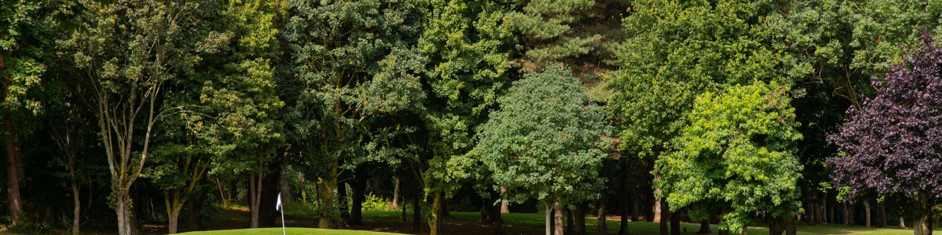 Torquay Golf Club which includes golf