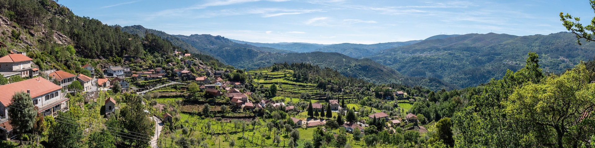 Paisagem montanhosa com vinhedos em terraços e casas salpicadas.
