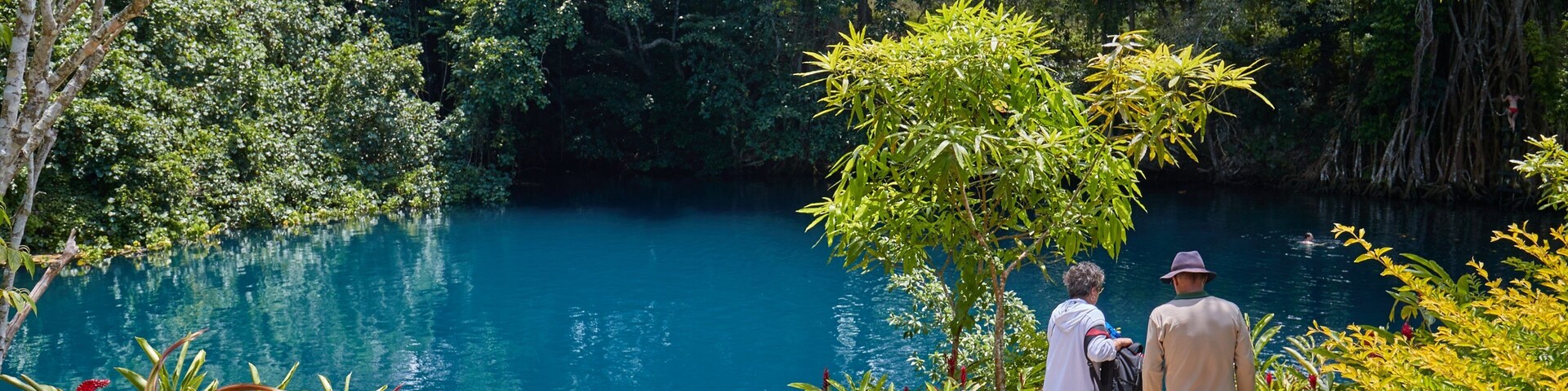 Um rio rodeado por vegetação densa e árvores.