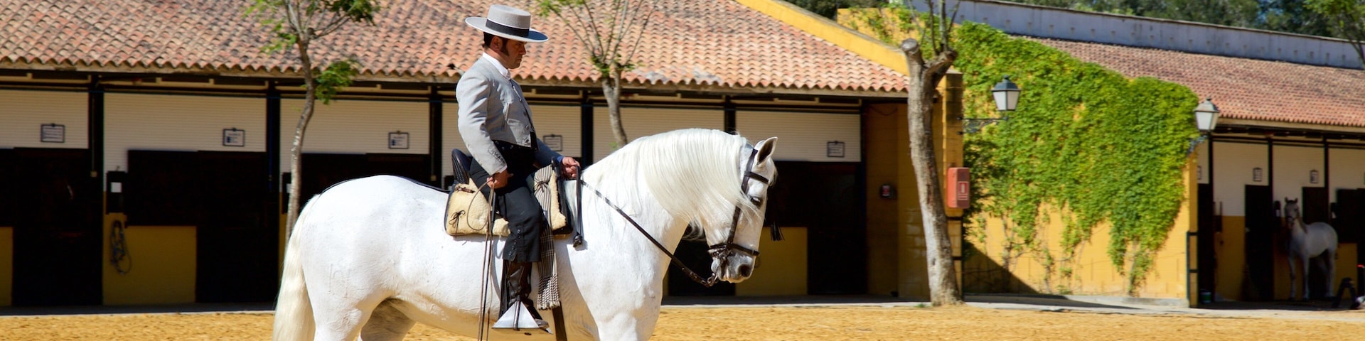 Jerez de la Frontera mostrando animais terrestres assim como um homem sozinho