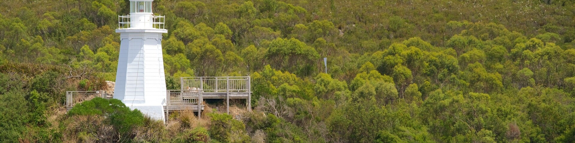 Um farol branco com plataforma e grade, rodeado por uma floresta verde densa e costa rochosa.