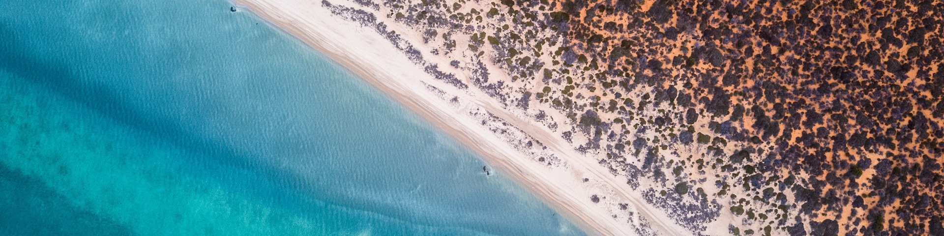 Vista aérea de uma praia com águas turquesa cristalinas, faixa arenosa e uma área densa de vegetação ou rochas à direita.