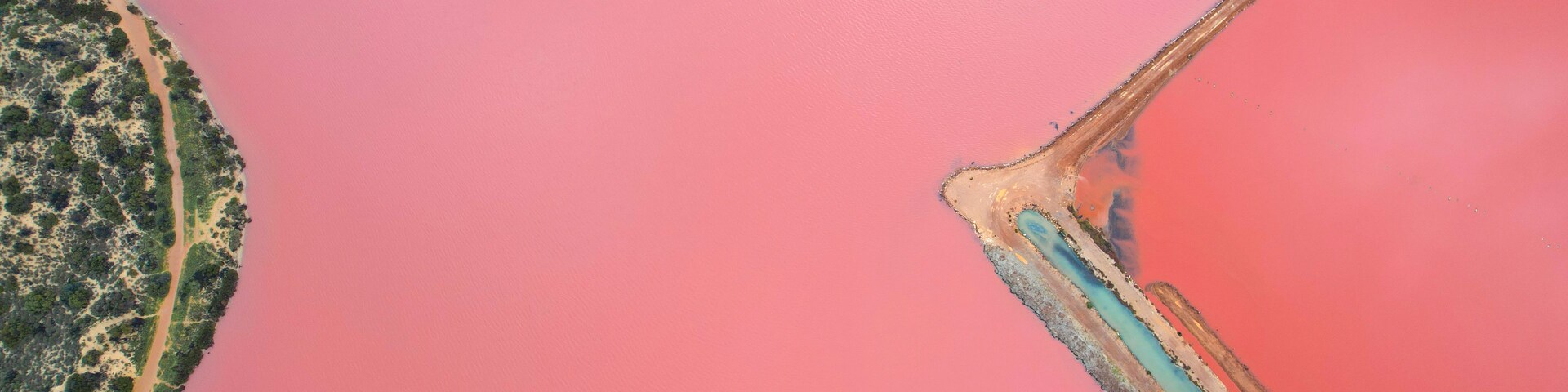 Vista aérea de uma paisagem rosa com uma linha divisória nítida e uma área verde.