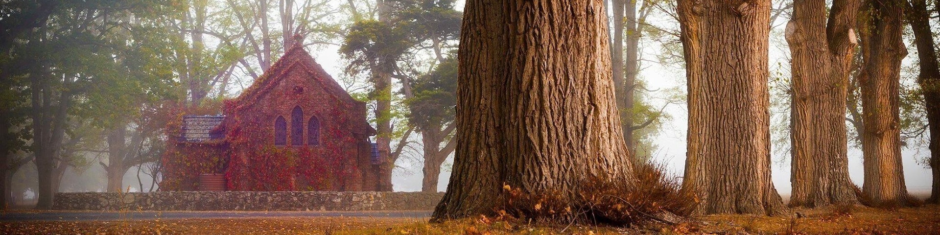 Gostwyck Chapel is located 10km out from the town of Uralla. The chapel is surrounded by a quaint stone wall and 200 Elm trees that were brought out specifically from England. During autumn (or fall), the leaves of the Elm trees turn gold providing the perfect backdrop for the Virginia Creeper covering the chapel, which changes to a brilliant red.
#australia
#instone