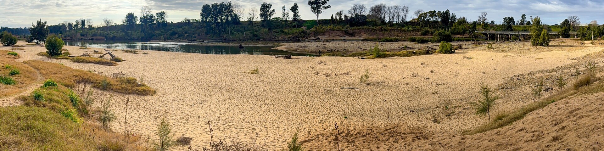 Uma praia arenosa com vegetação rasteira, um rio ao fundo e um céu nublado.