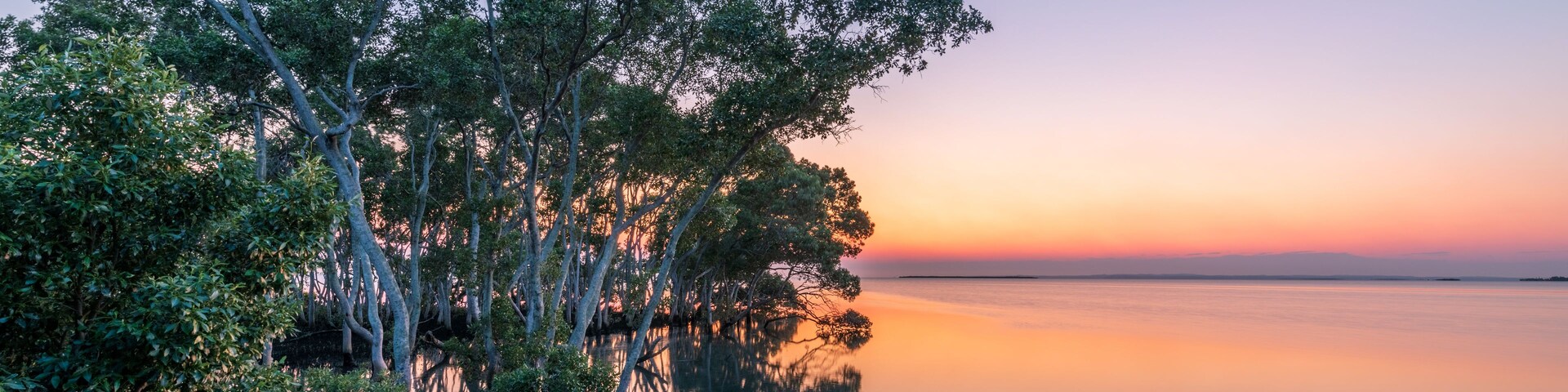 Água calma refletindo árvores e um céu ao pôr do sol.