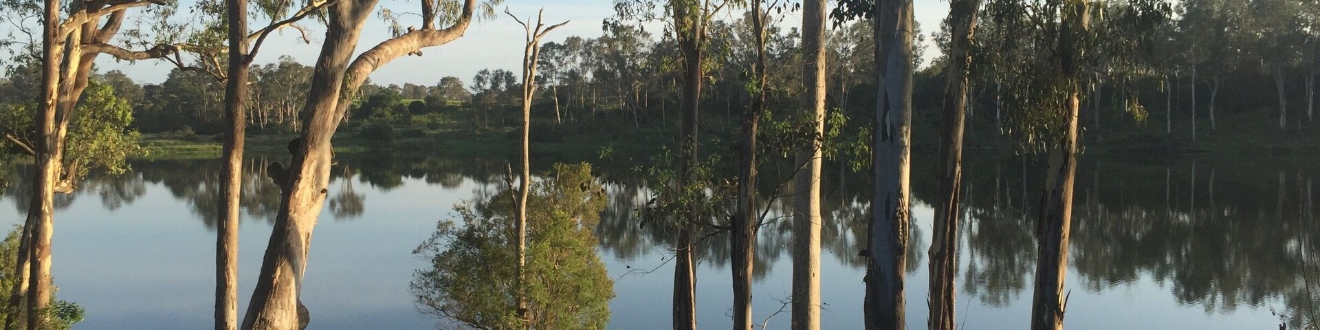Elliot River at dawn