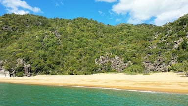 Uma praia com águas turquesa cristalinas, areal arenoso e um morro coberto por vegetação.