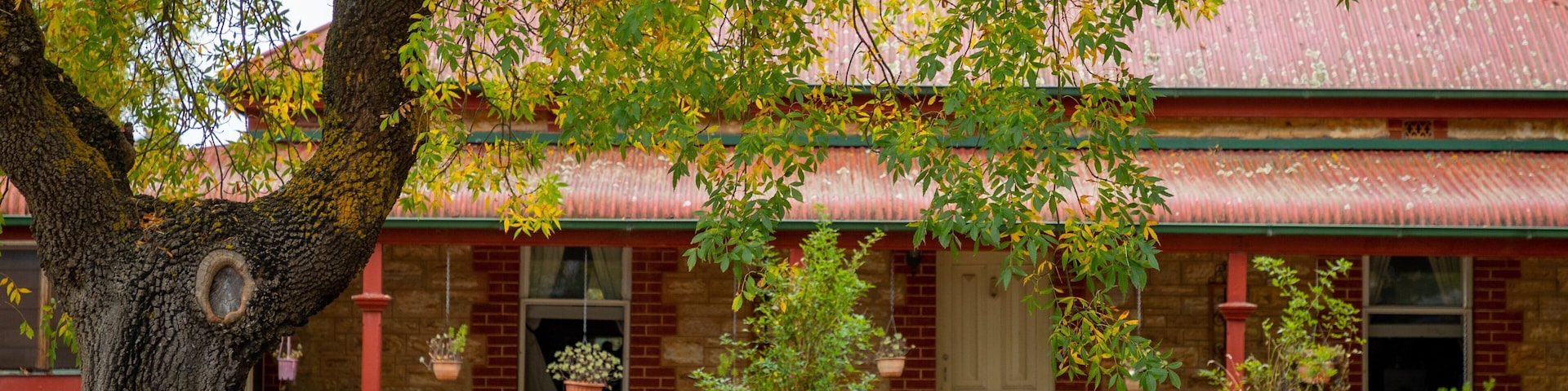 Meadows which includes a house