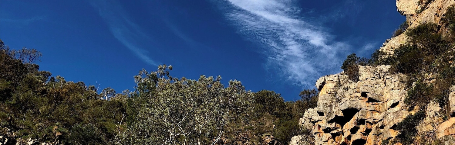 Lots of great walks around, close to Adelaide and lots of Koalas too