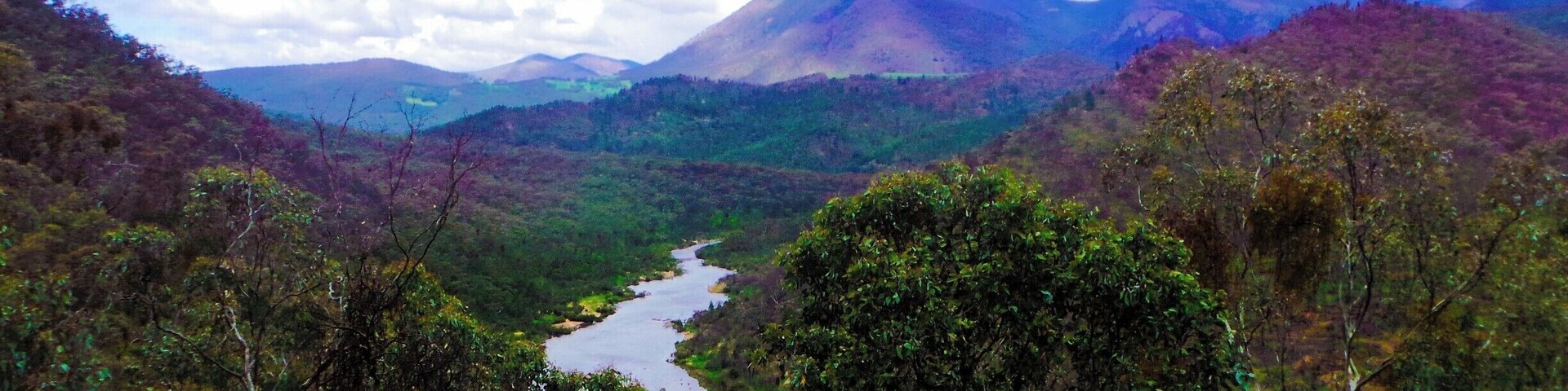 Single lane, unsealed with sheer drops and BREATHTAKING views. McKillops Road from Little River Falls to McKillops Bridge is among the most amazing sections of road in Australia. Taking in the amazing Snowy River and the Snowy River & Alpine National Parks. Plenty of 4WD tracks leading off the main route, but McKillops Road is fine for 2WD. No vans or trailers past Little River Falls #Roadtrip #NationalPark