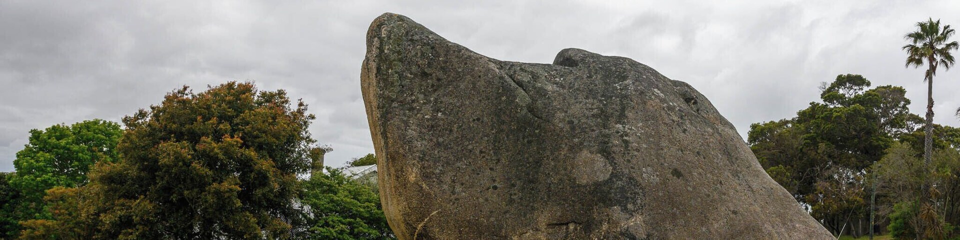 I drove past this rock many times while in Albany until I realised the resemblance it had to a dogs head. Apparently this a natural rock that has NOT been carved and has a strong appearance of a dogs head looking up at the sky.