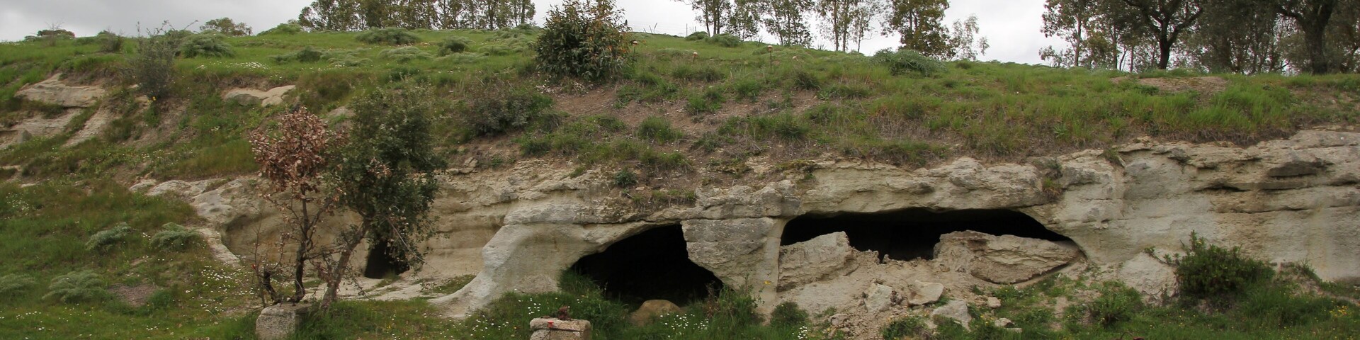 Illorai, necropoli di Molia