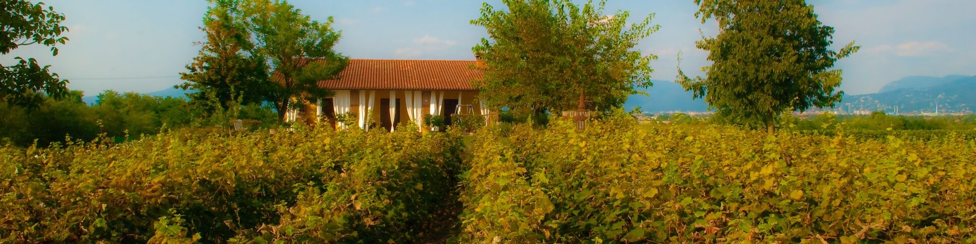 Fattoria sul Monte Netto
