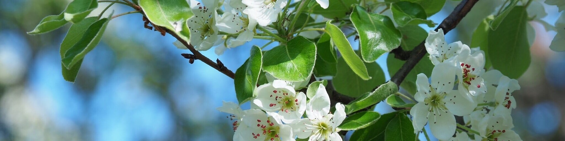 Spring is coming 🌼