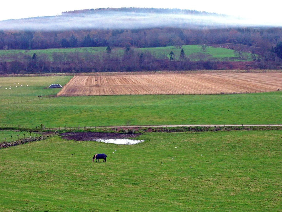View across the fields to Kingcausie Estate on the south side of the river Dee The proposed Aberdeen peripheral bypass will cut straight through this photo from north to south