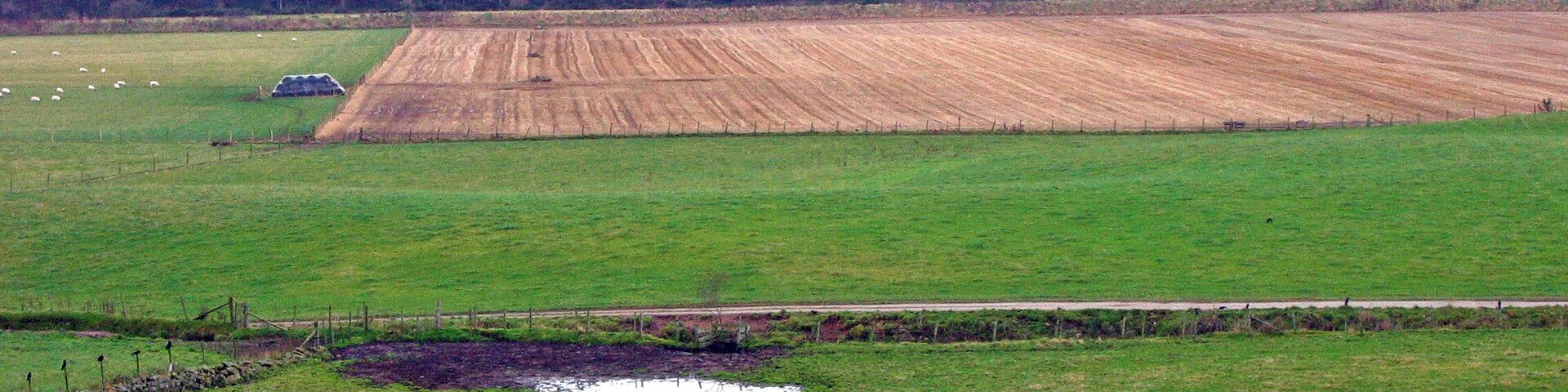 View across the fields to Kingcausie Estate on the south side of the river Dee The proposed Aberdeen peripheral bypass will cut straight through this photo from north to south