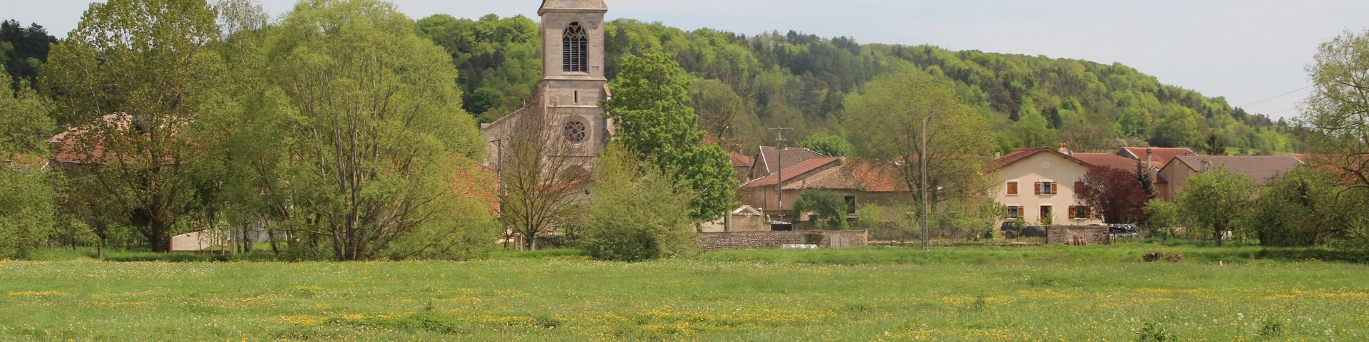 Jakobsweg by Niederkasseler France - Sauvigny